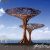 Large Steel Tree Sculptures with Abstract Canopy