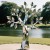 Outdoor Metal Tree Sculpture: Adding Beauty to Your Garden